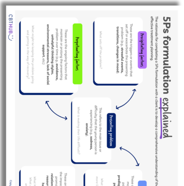 5 Ps Formulation Explained | Therapist Guide